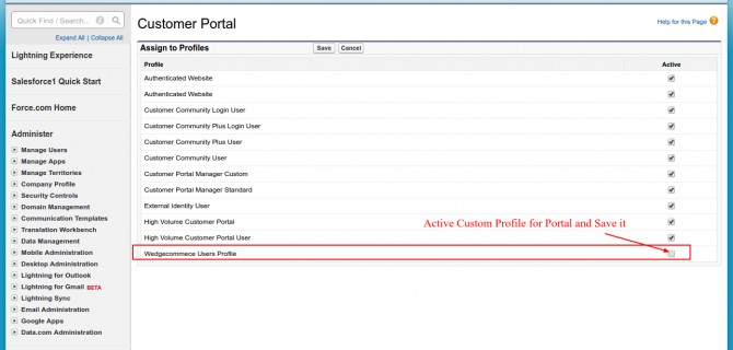 How to create Custom Profile for Registered User in salesforce